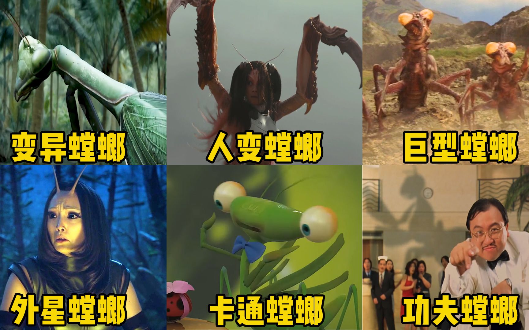 盘点六个版本的奇葩螳螂,你觉得哪个更厉害?功夫螳螂也怕杀虫剂