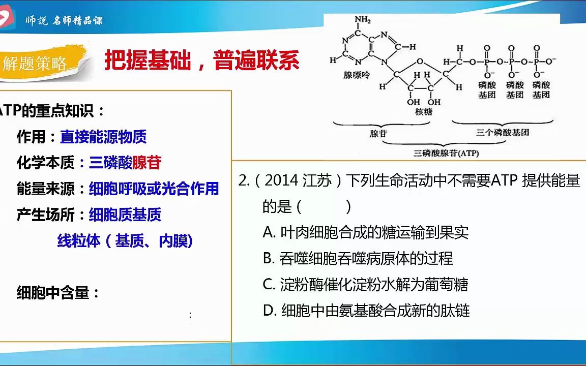 精品课 高三三轮生物 03 酶 ATP