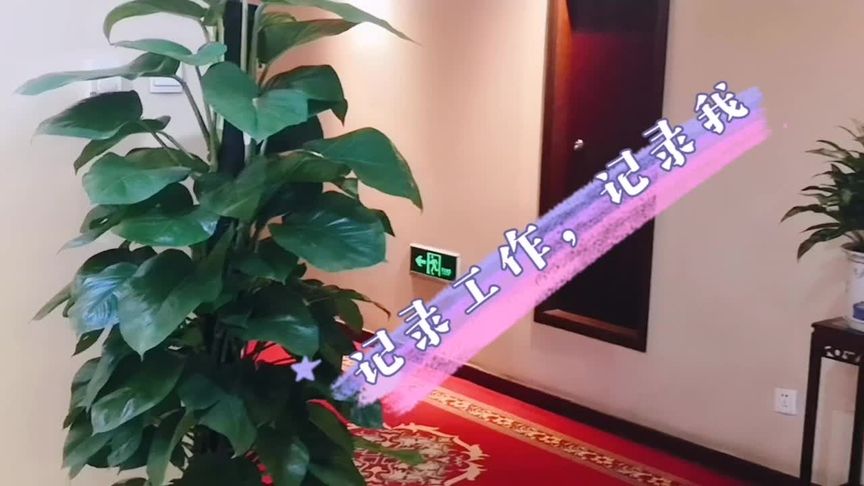 检测消火栓按钮,手动报警器在图形显器的位置是否正确!