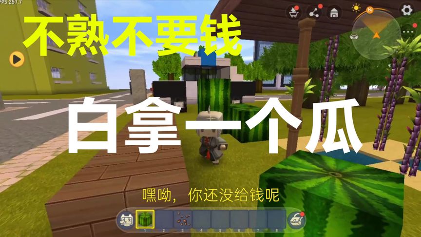 二狗子玩迷你:二狗子买西瓜没给钱
