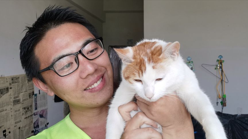 收留了一只被遗弃的猫咪,第一天直接抓烂了我的床单,这可怎么办