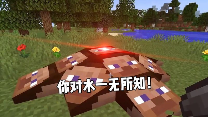 我的世界:我想知道史蒂夫到底是用什么做的