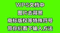 WPS文档中 图片去背景 商标版权等特殊符号 带你们看下输入方法