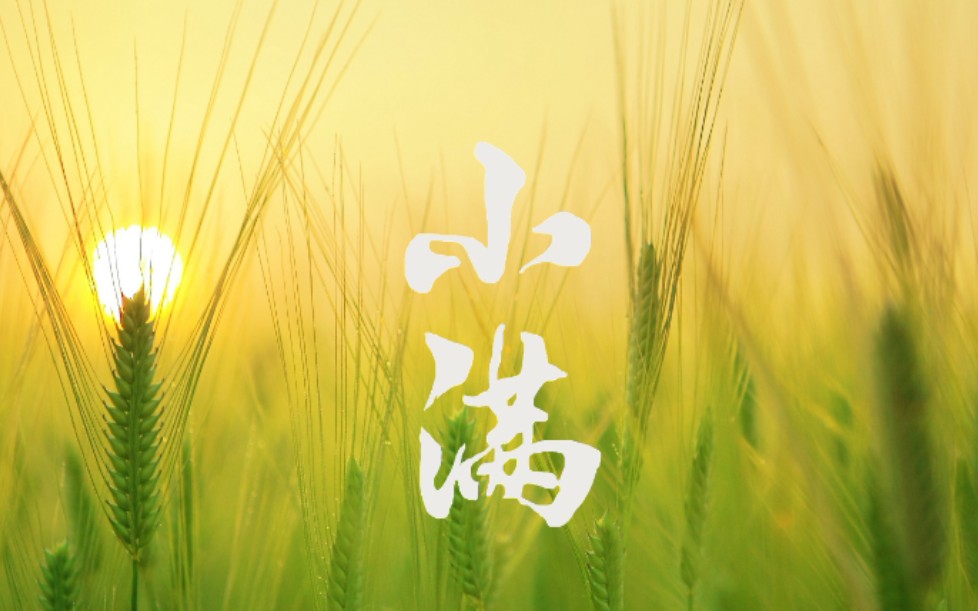 廿四节气系列短视频·小满