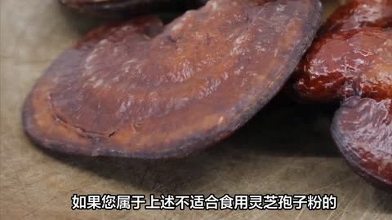 灵芝孢子哪些人不适合吃警惕!灵芝孢子粉背后的八大禁忌人群