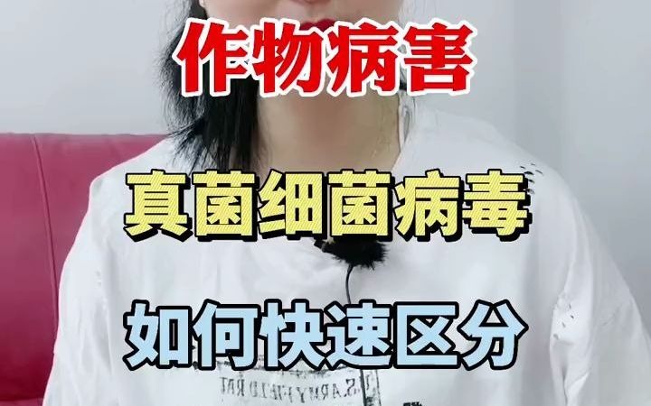 【三农】作物病害,真菌细菌以及病毒病,应该如何快速区分呢?