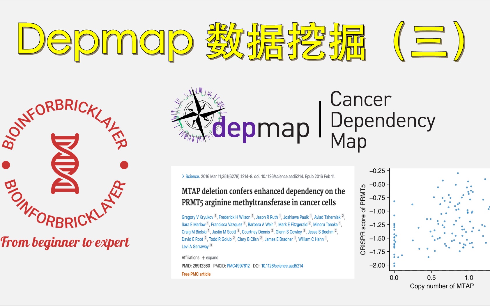 【生信进阶之路|资源篇04】Depmap 数据库挖掘(三)