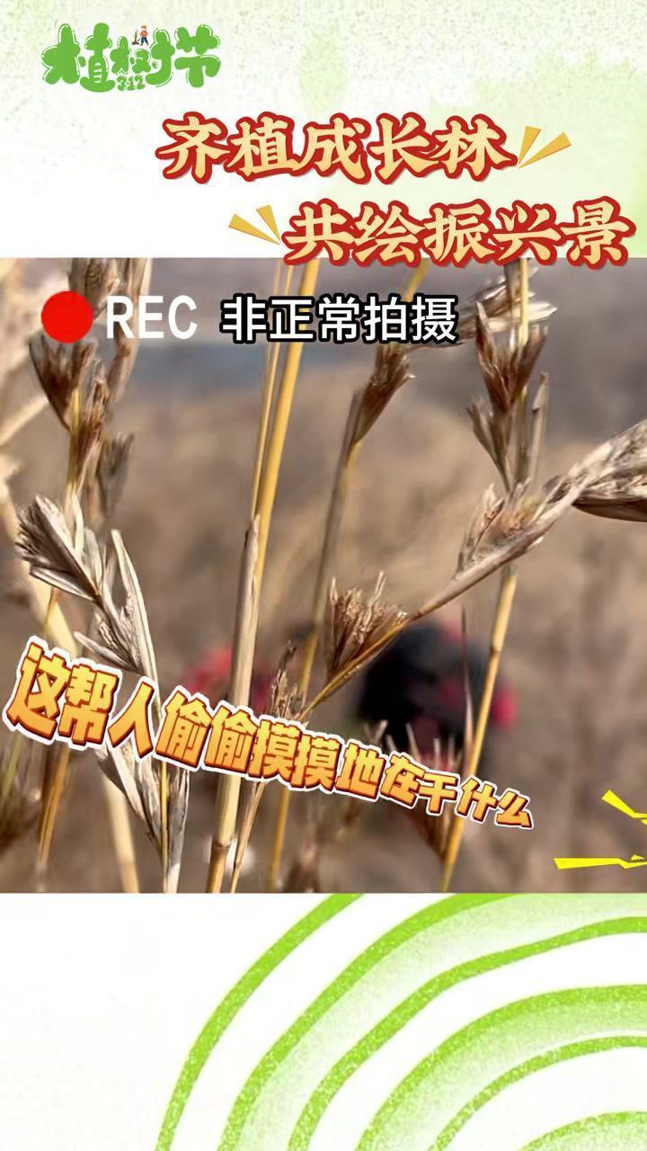 ...臧家庄镇组织机关年轻党员干部联合辖区幼儿园,在栾家沟村开展植树...