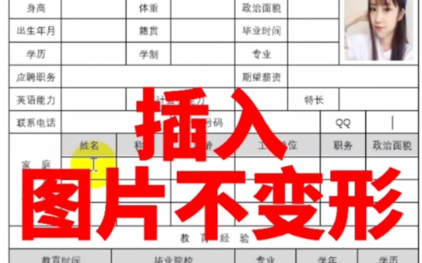 word插入图片不变形