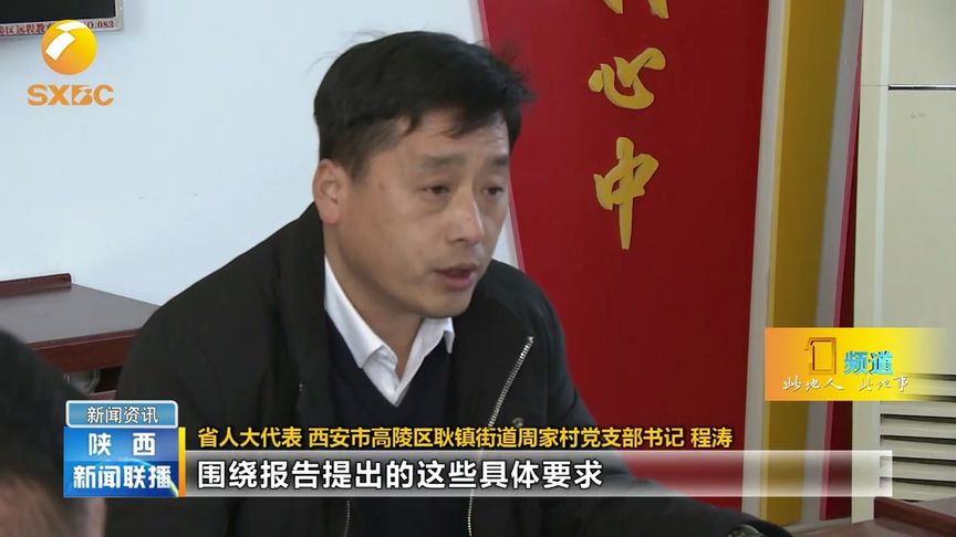 省人大代表程涛:坚定“党建引领+集体经济+社会资本”模式发展