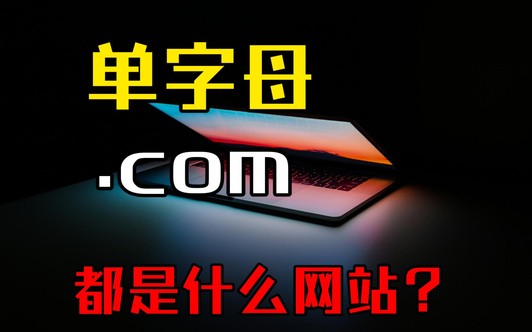 【涨知识】单字母.COM域名都是什么网站?