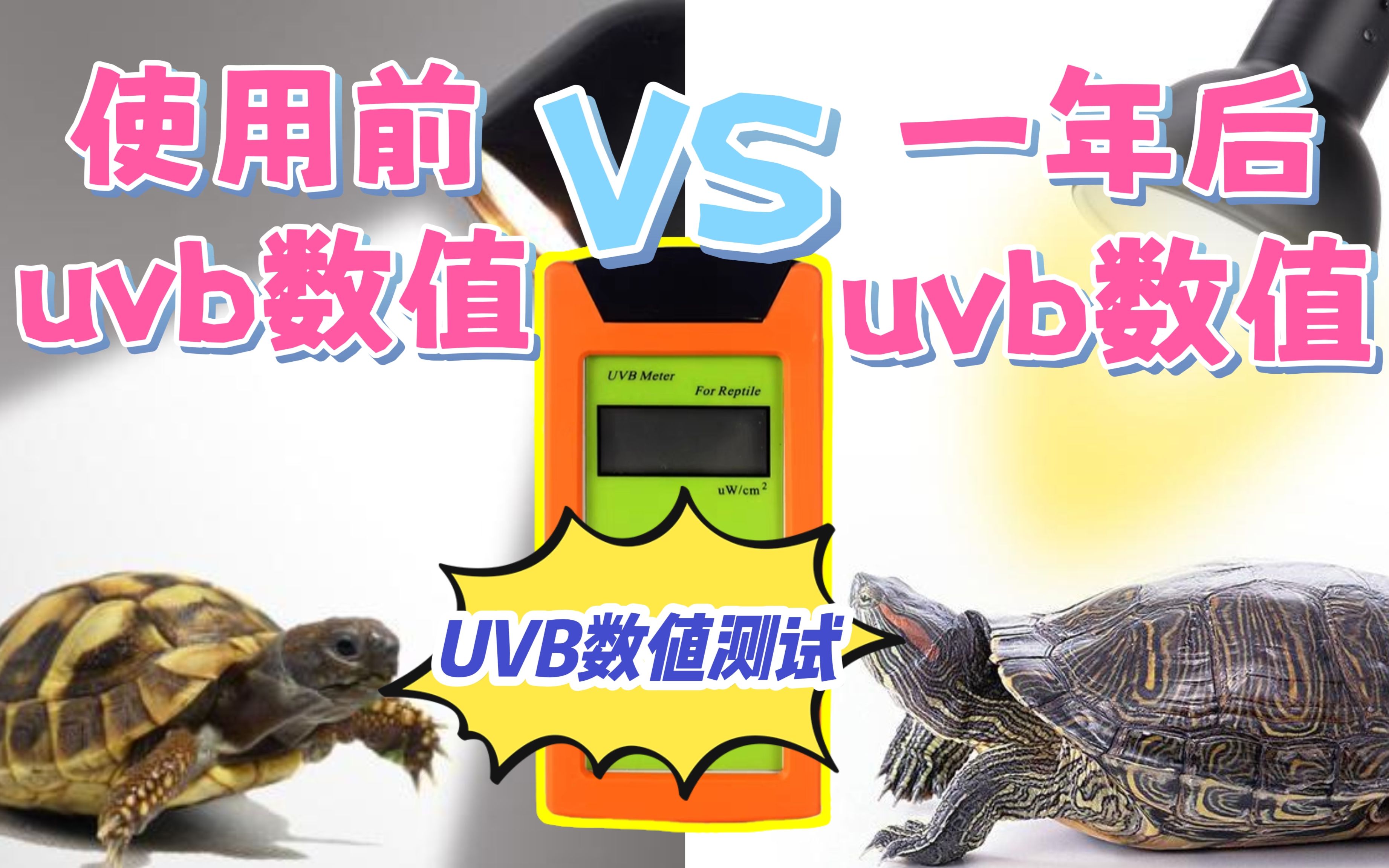 你的uvb乌龟晒背灯可能已经没用啦!测试仪告诉你uvb数值衰减程度!