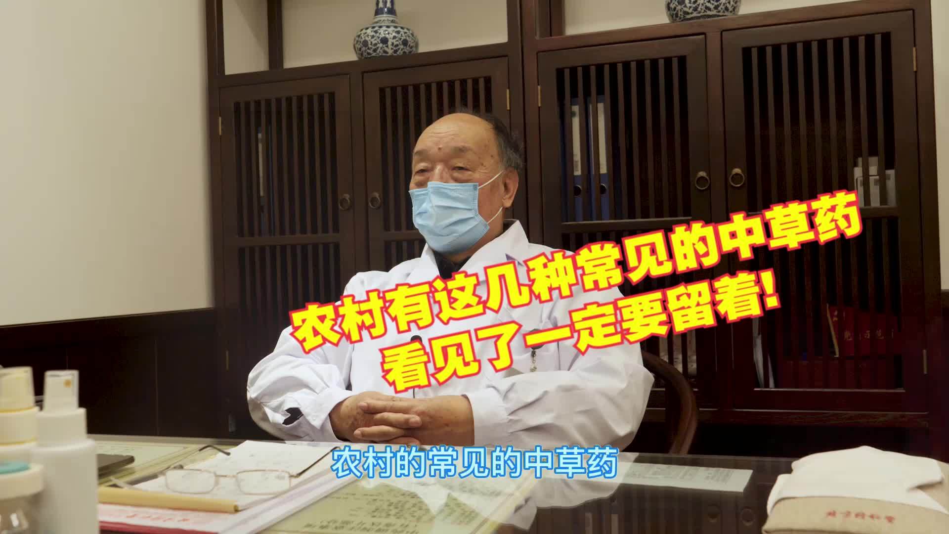 82岁老中医科普:农村这几种常见中草药,能治人的大病!