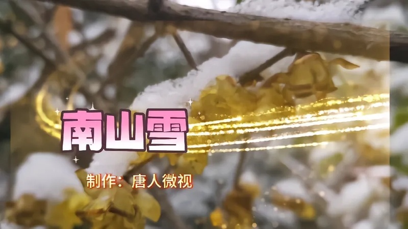 一首寓情于景的古风歌曲巜南山雪》与你分享