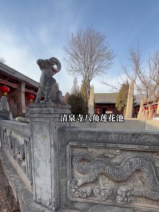 ...池边可能采用了精美的石雕工艺,雕刻有各种图案,如花卉、动物等。...