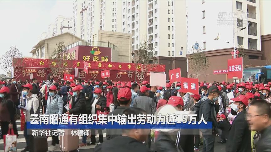 云南昭通有组织集中输出劳动力近15万人