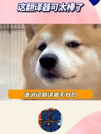 博主:不用麻烦了!翻译器:你们的麻烦来了!