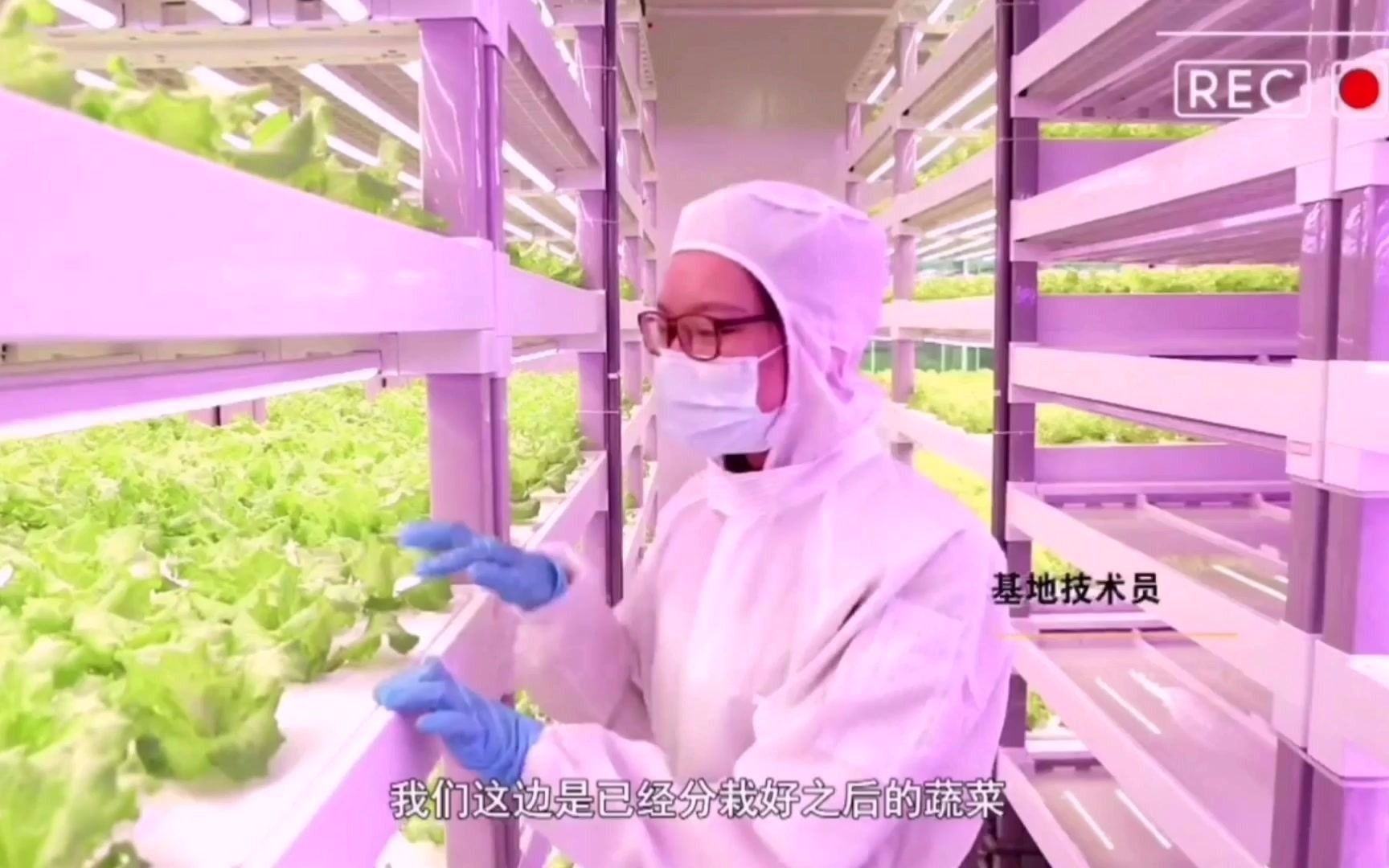 废弃矿坑变身植物梦工厂-德清百源康生态农业鱼菜共生植物梦工厂...