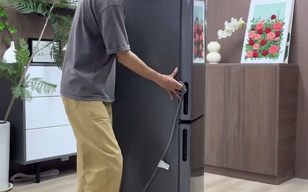 ...#小冰箱 #厨房小家电 #小户型 #冰箱怎么选 新飞183 双开门 微冻...