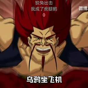 설계자小양 