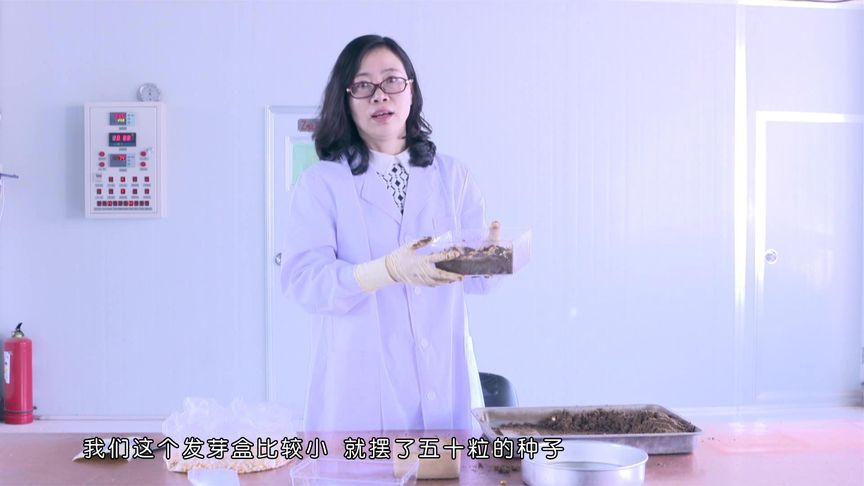 东亚种业技术人员讲解测试种子芽率的正确方法