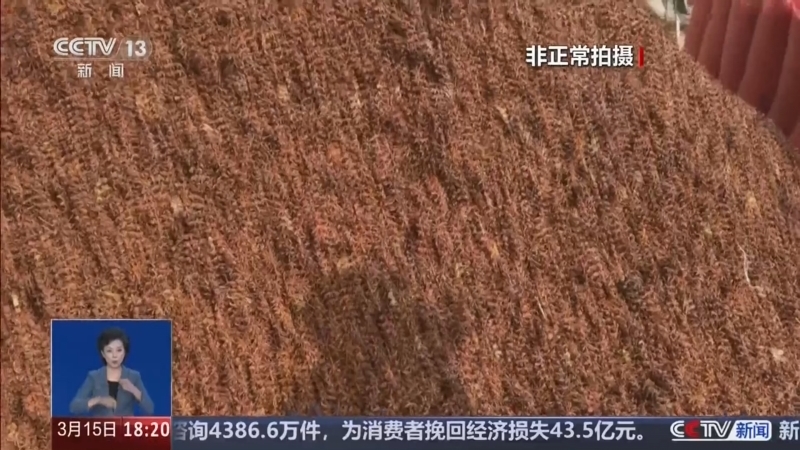 [共同关注]关注·调查:"3·15"特别策划 "超硫八角"随意售卖 "剂量红线"...