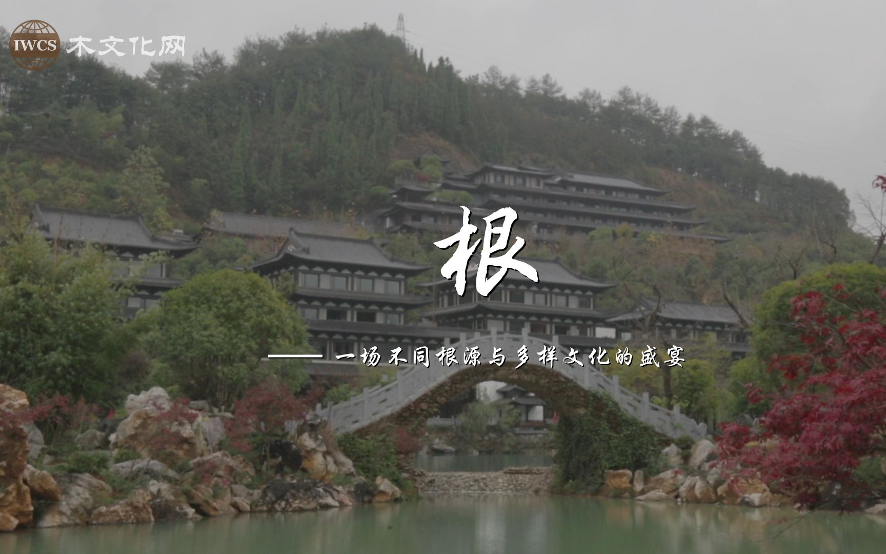 【纪录片】【文化交流】国际根艺现场创作(全三集)根 (1)