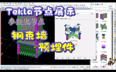 Tekla参数化节点展示-钢束墙预埋件