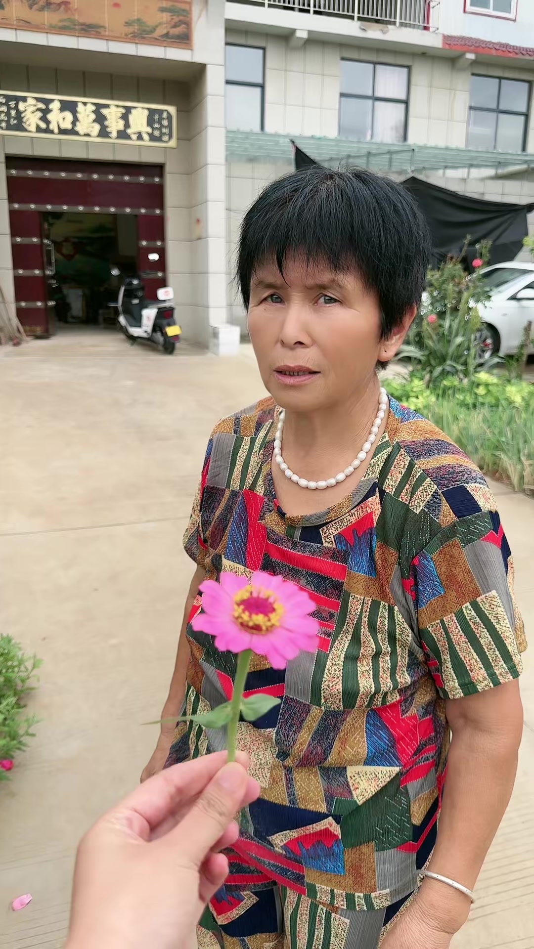 ...赶紧下雨吧下雨好去地里逮天牛郎,估计好多人都不知道天牛郎是啥#...