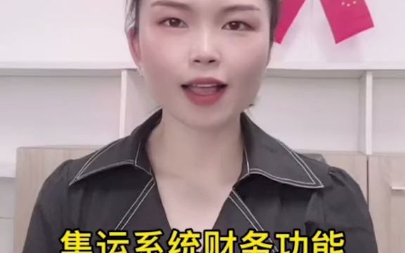 金蚁集运系统财务功能亮点七