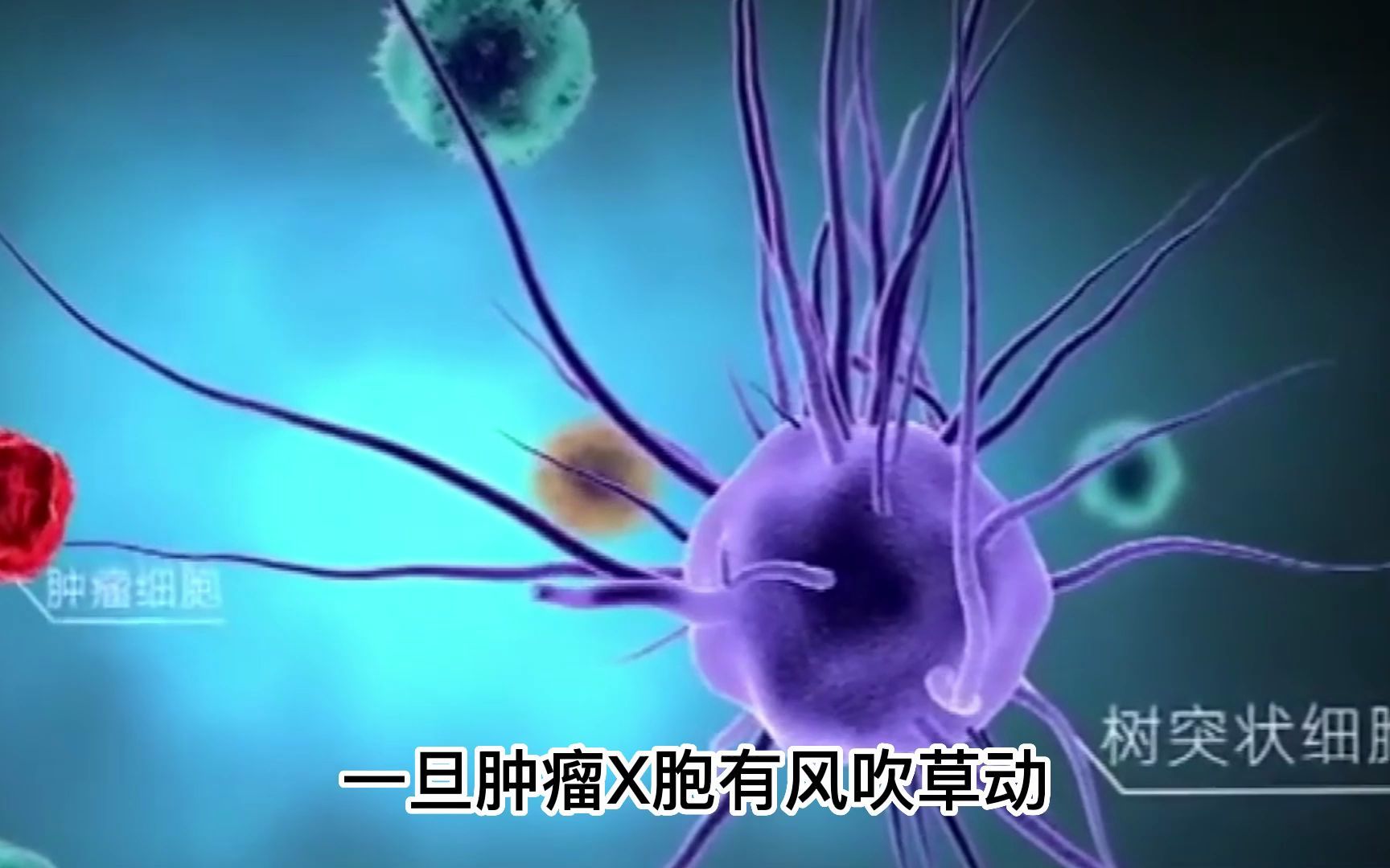 什么是DC细胞疗法