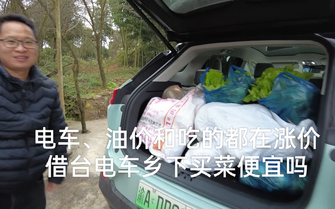 电车涨价,油价涨价,吃的涨价,一切都在涨价,借台电车乡下偷菜去!