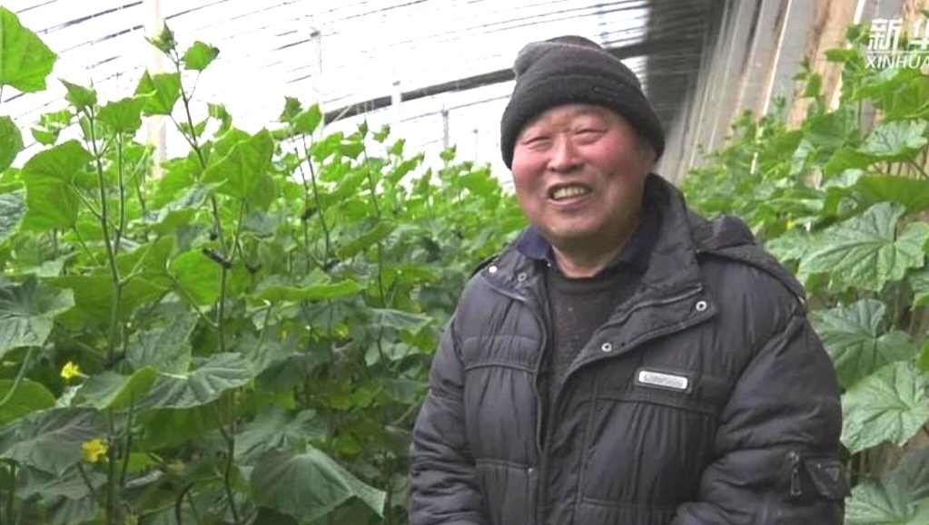 温室大棚保温难?用非空腔自保温建筑模块建蔬菜大棚,即使在寒冷的...