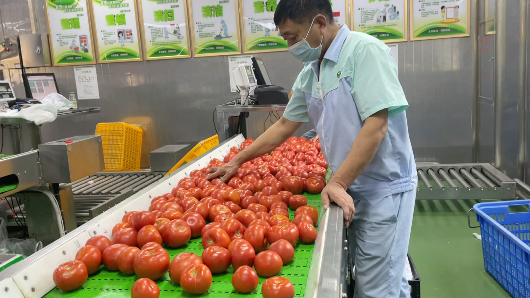 #食堂配送 #乡村振兴 #信息化助农行动 未来人员成本越来越高,食堂...