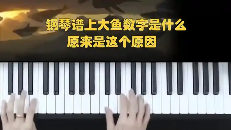 钢琴谱上大鱼数字是什么?原来是这个原因