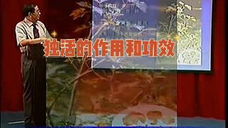 独活的作用和功效