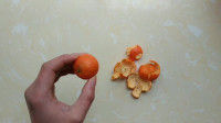经常用橘子皮泡水喝,试过的人都说好,解决了很多人的烦恼