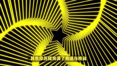 恒星的一生:从耀眼诞生到神秘终结,揭秘宇宙中最壮丽的生死轮回