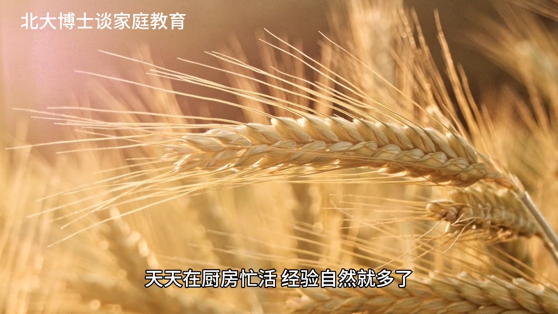 复杂中的简单:SOP的作用