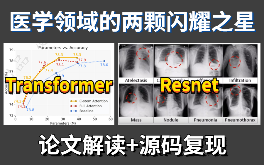 医学领域的两颗闪耀之星:Transformer+Resnet!医学分割应用与数据集...