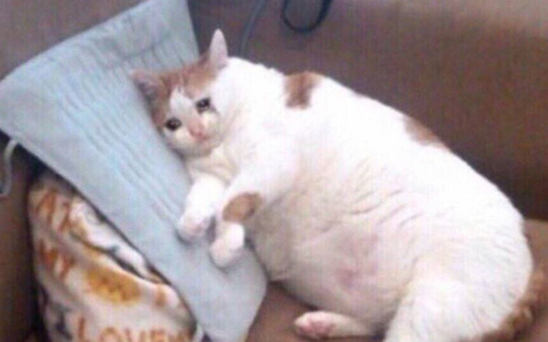 【居家实验】利用手机测量地磁场大小