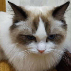 宇青教育 
