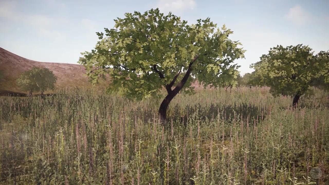 【3Dmax】3DS MAX低精度树木建模教程(英语)