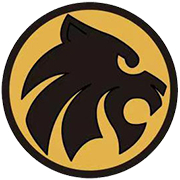 虎言新媒体训练 