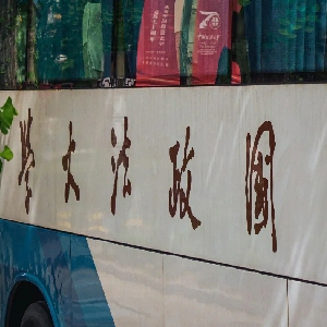 浪浪山上的小妖猪 