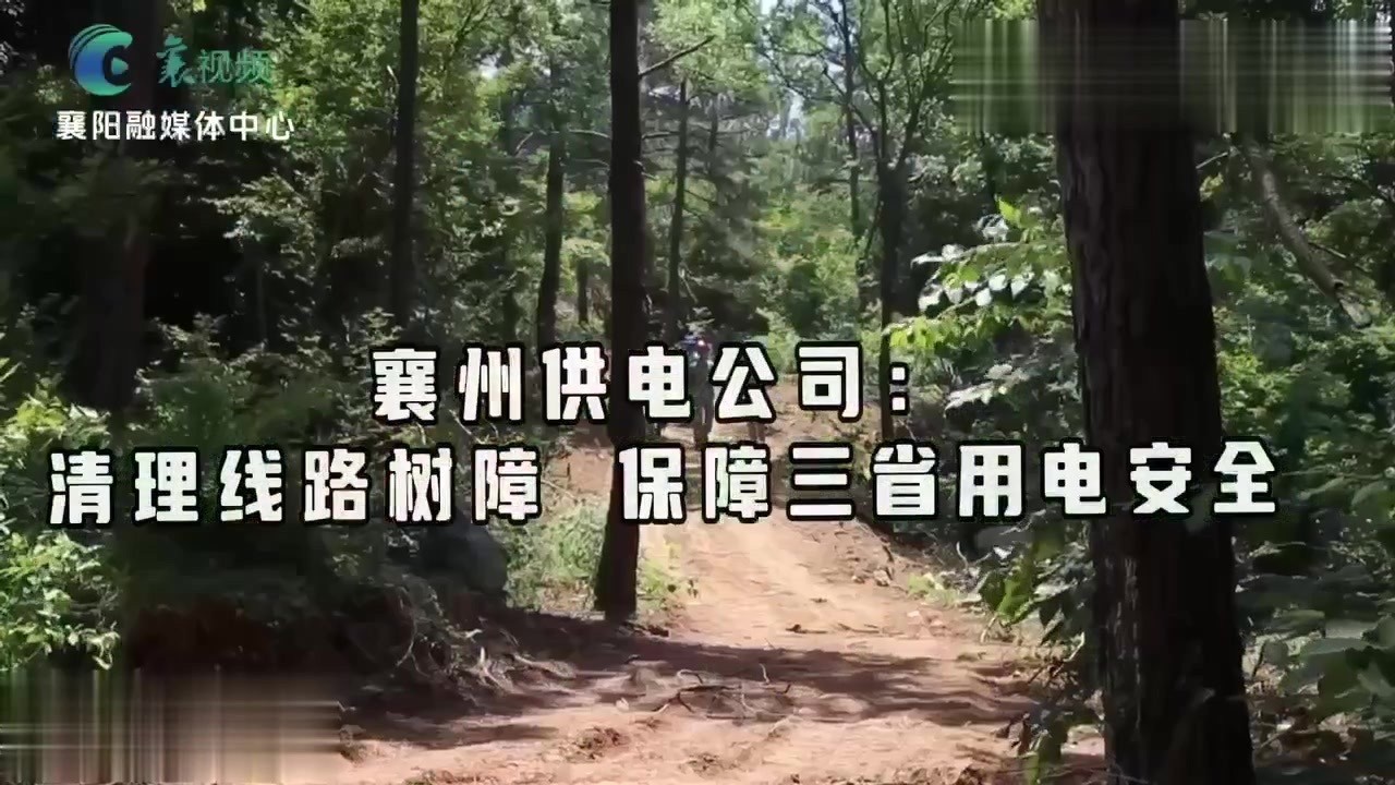 襄州供电公司:清理线路树障保障用电安全