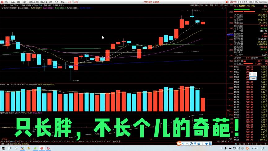 A股总市值超90万亿,指数仍在3000多点,网友开始骂爹骂娘了!