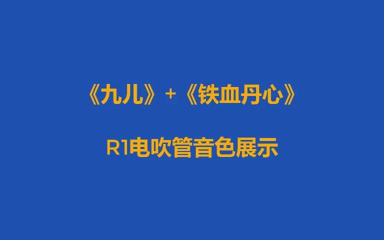 《九儿》+《铁血丹心》R1电吹管音色展示