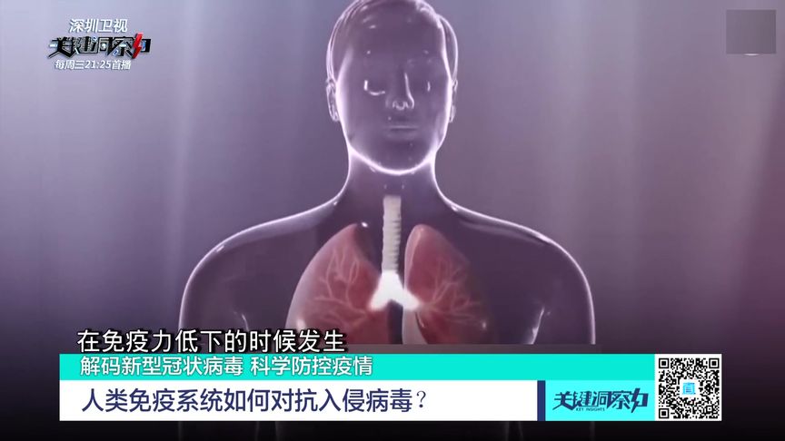 人类免疫系统如何对抗入侵病毒?