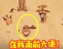 饥荒海难13:被长得像鳄鱼的狗追,还好有用两只脚走路的猪帮我!